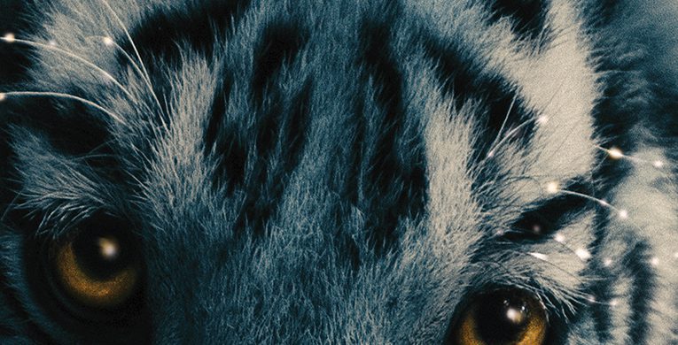 Předpremiéra filmu Modrý tygr v CineStar | Červenýkoberec.cz